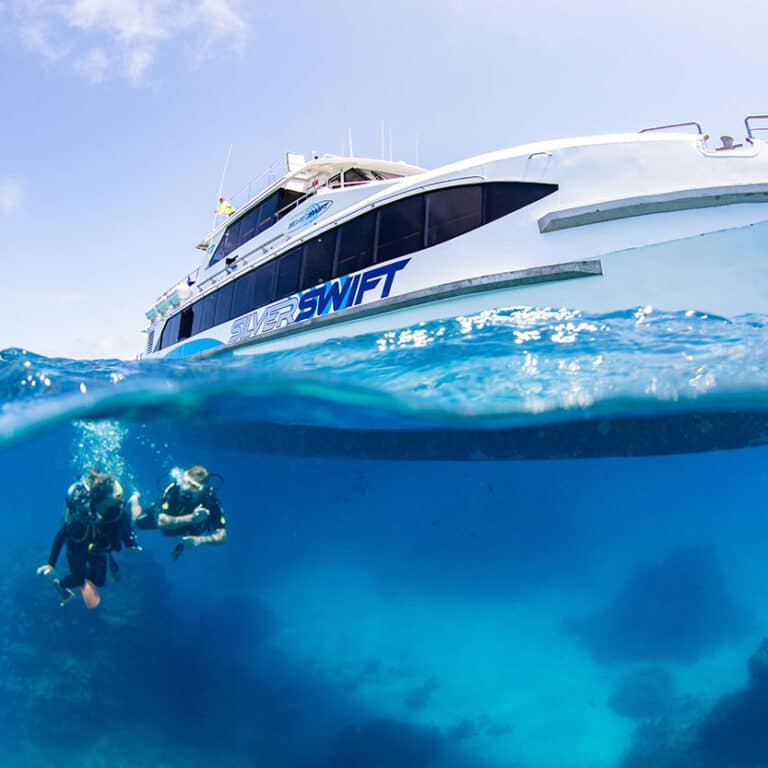 Silverswift - Quicksilver Cairns Great Barrier Reef Day Tour