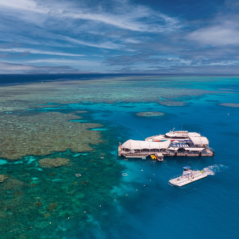 Great Adventures: Outer Reef - Perfect for Cruise Ship Passengers!
