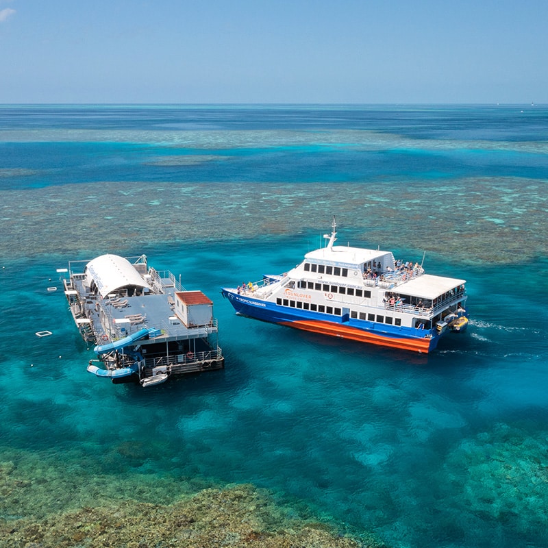 Sunlover Reef Cruises - Cairns Reef Pontoon Day Tour
