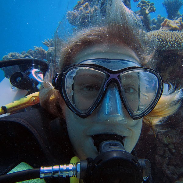 Deep Sea Divers Den Cairns Liveaboard Dive Snorkel Tours Deep Sea Divers Den Cairns Liveaboard Dive Snorkel Tours