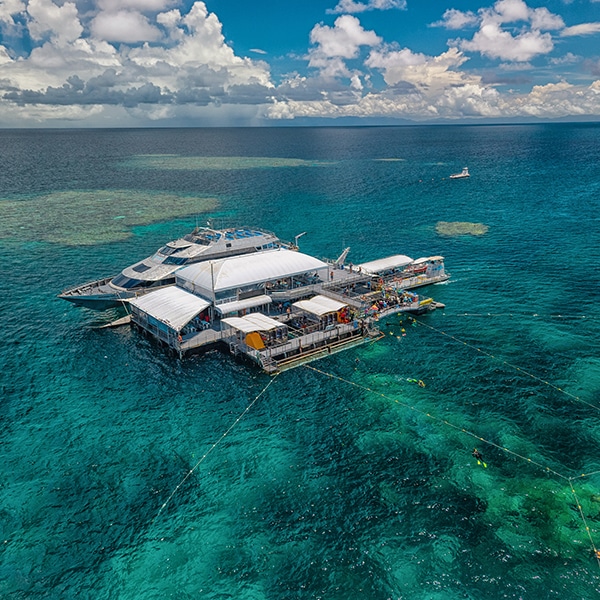 Quicksilver Cruises Port Douglas Great Barrier Reef Tour