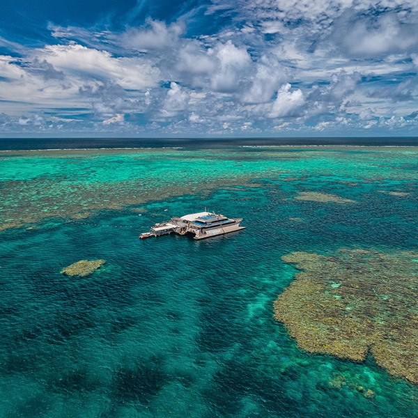 Quicksilver Cruises Port Douglas Great Barrier Reef Tour