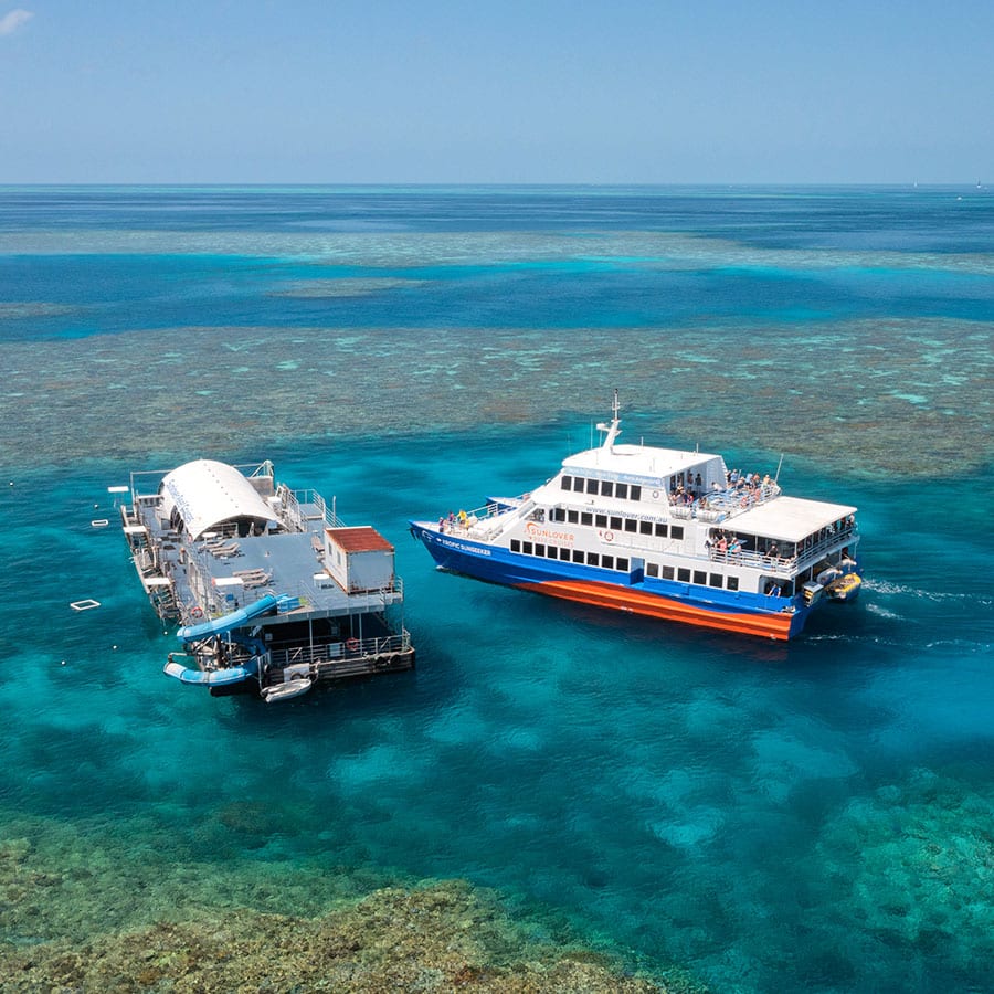 Sunlover Cruises - Reef & Island Tour: Moore Reef & Fitzroy Island Day ...